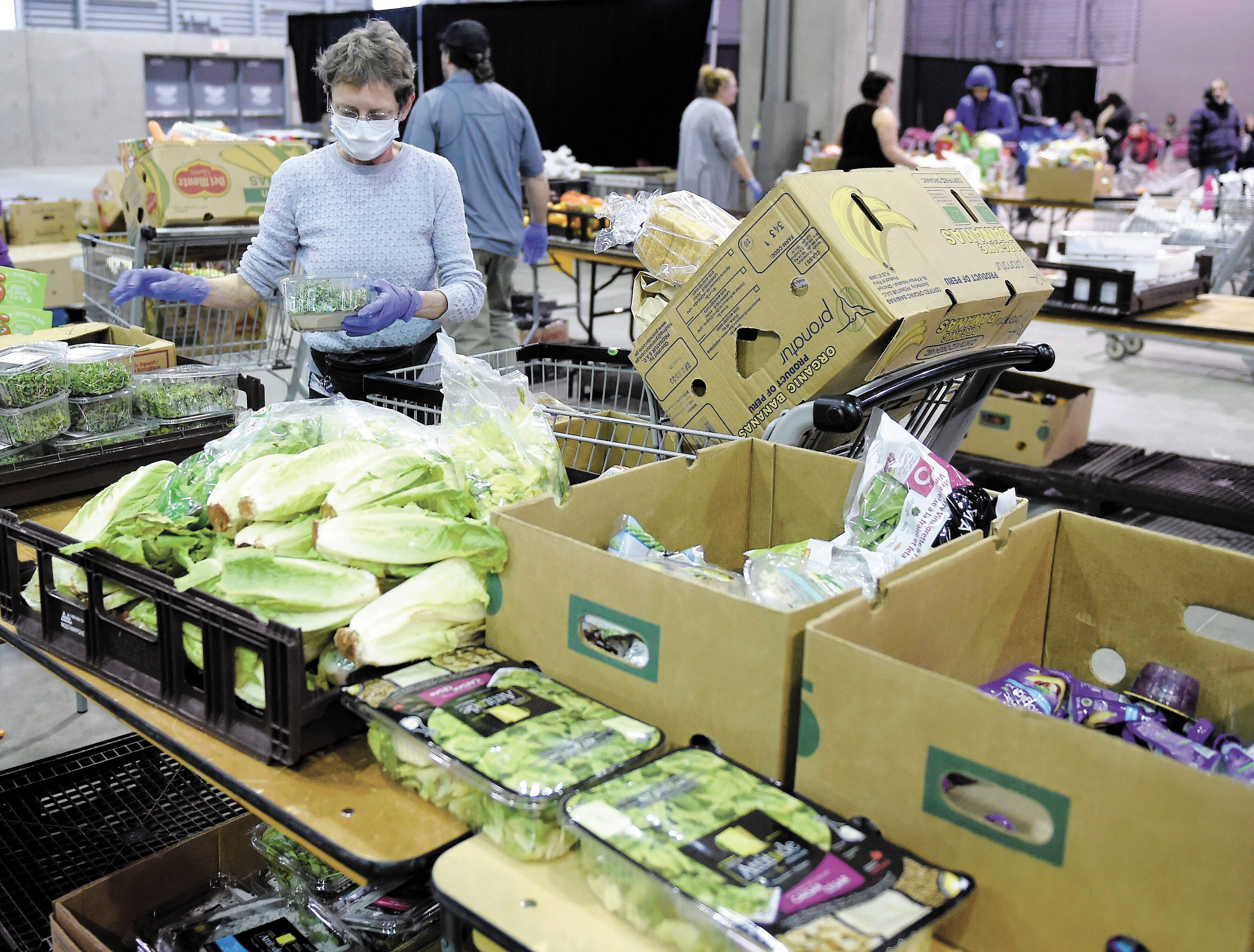 Moisson Québec a doublé son aide | Le Journal de Québec