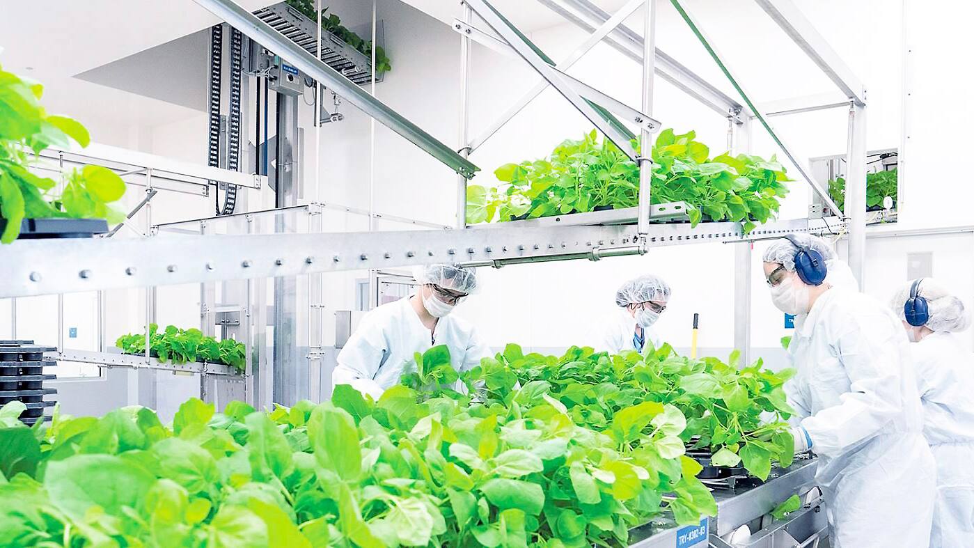 Chantier de Médicago à Québec: les entreprises prennent les moyens pour ...