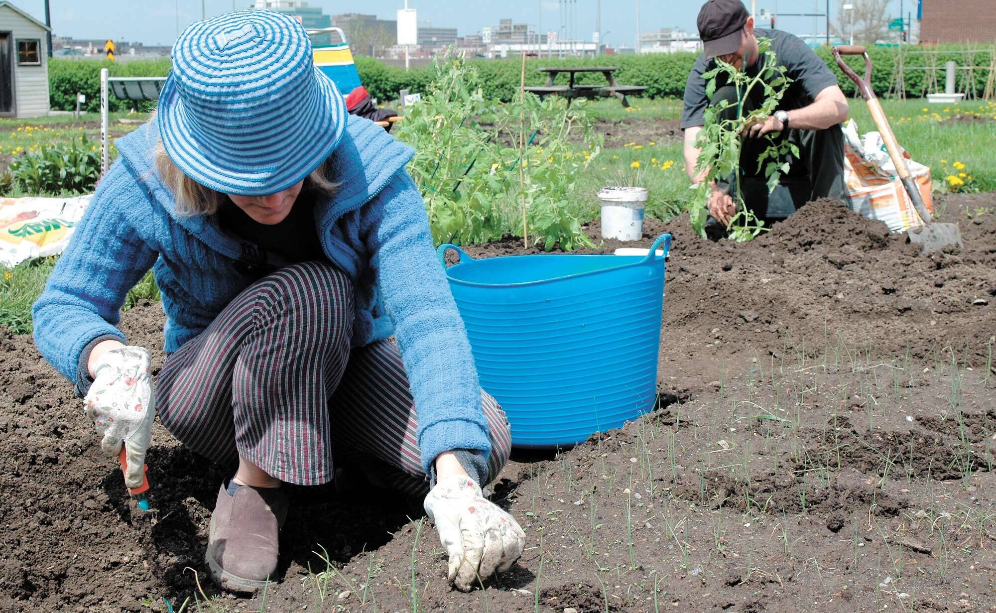 Créez un potager familial en 10 étapes | JDM
