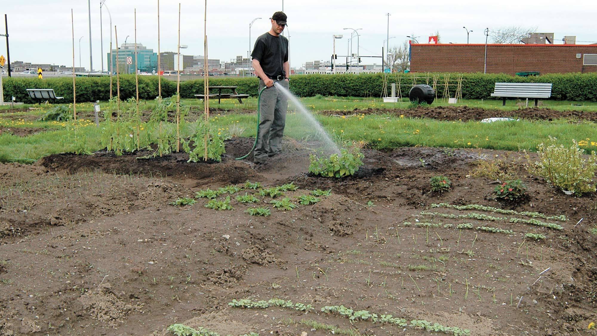 Créez un potager familial en 10 étapes | JDM