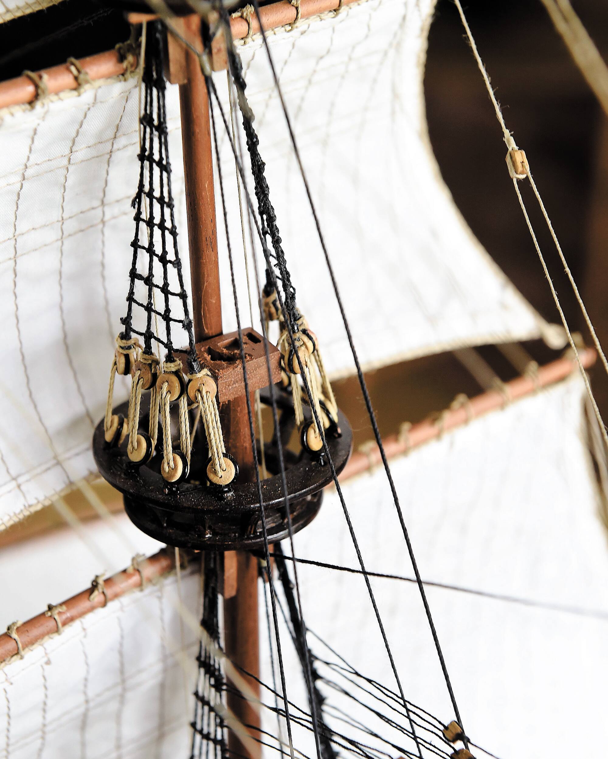 [PHOTOS] 30 ans d’un travail de dur labeur | JDM