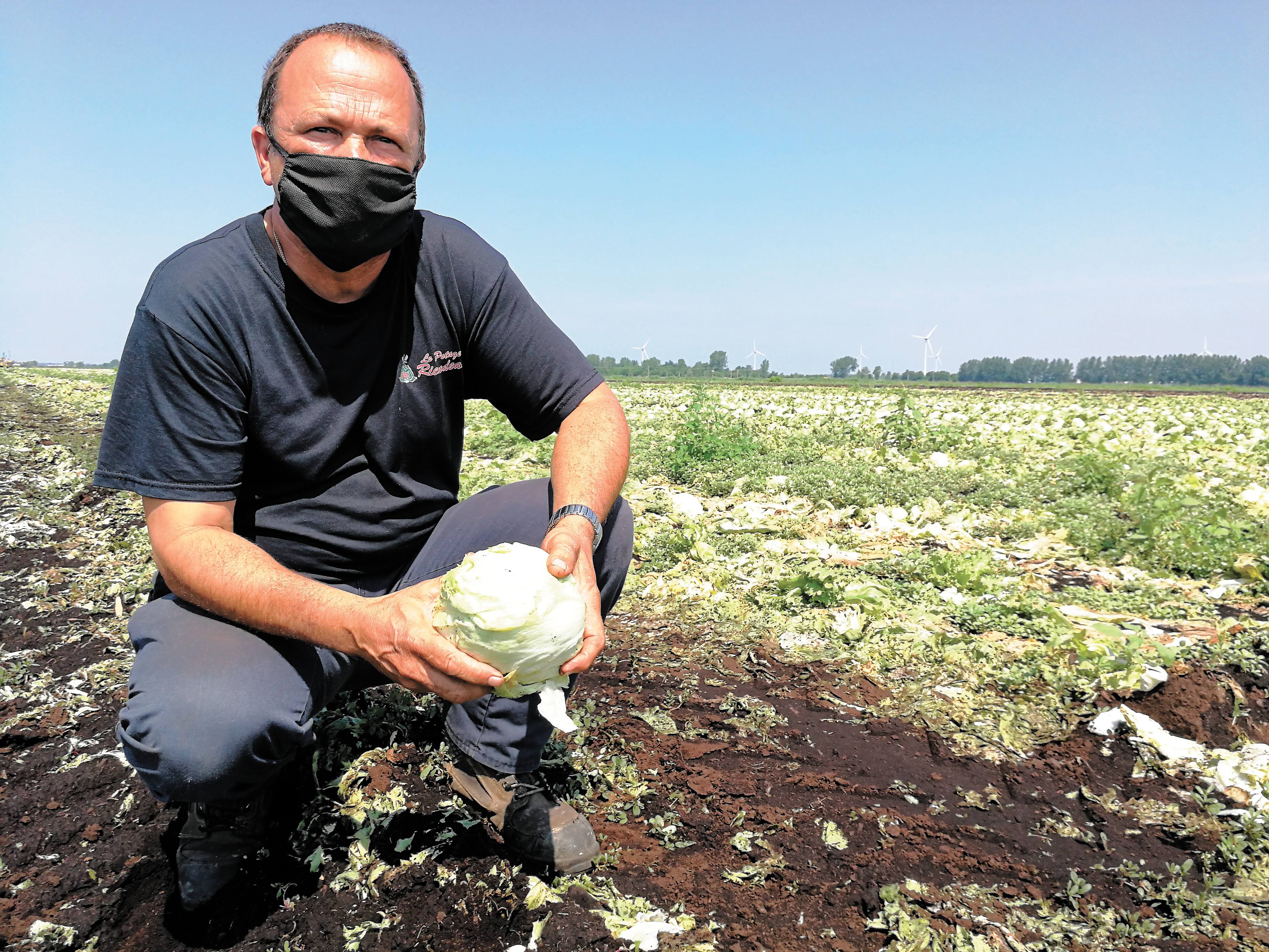 Un été à oublier pour plusieurs fruits et légumes | JDM