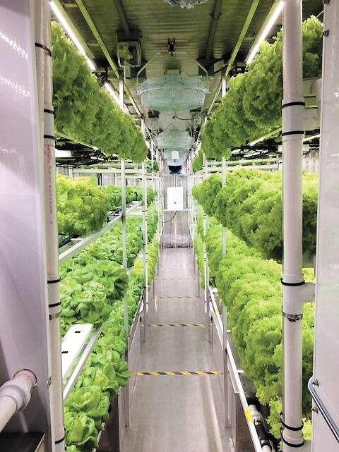 Des fermes urbaines dans des conteneurs | JDM