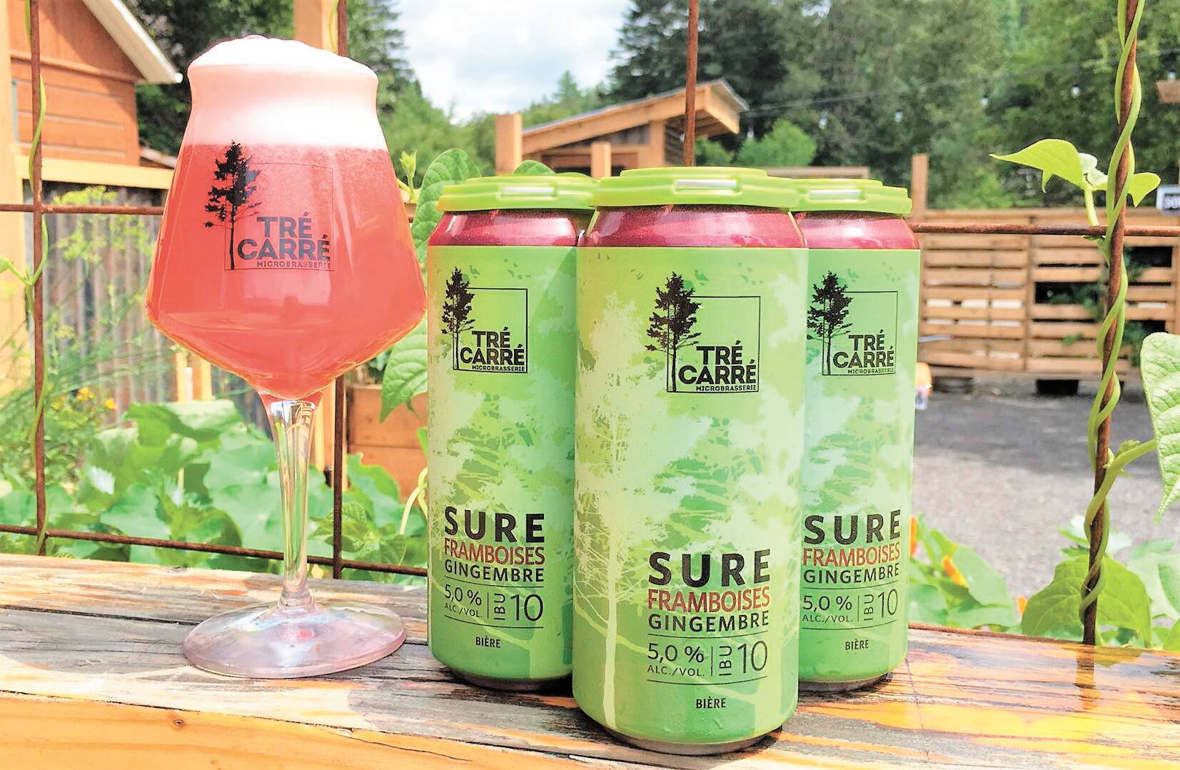 10 bières aux petits fruits du Québec | JDM