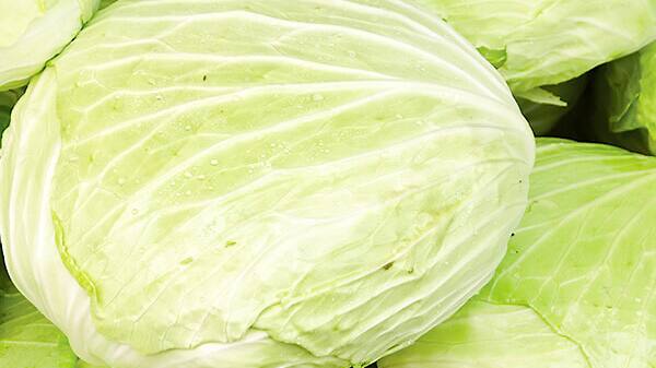 Les méconnus de nos récoltes | Le Journal de Québec