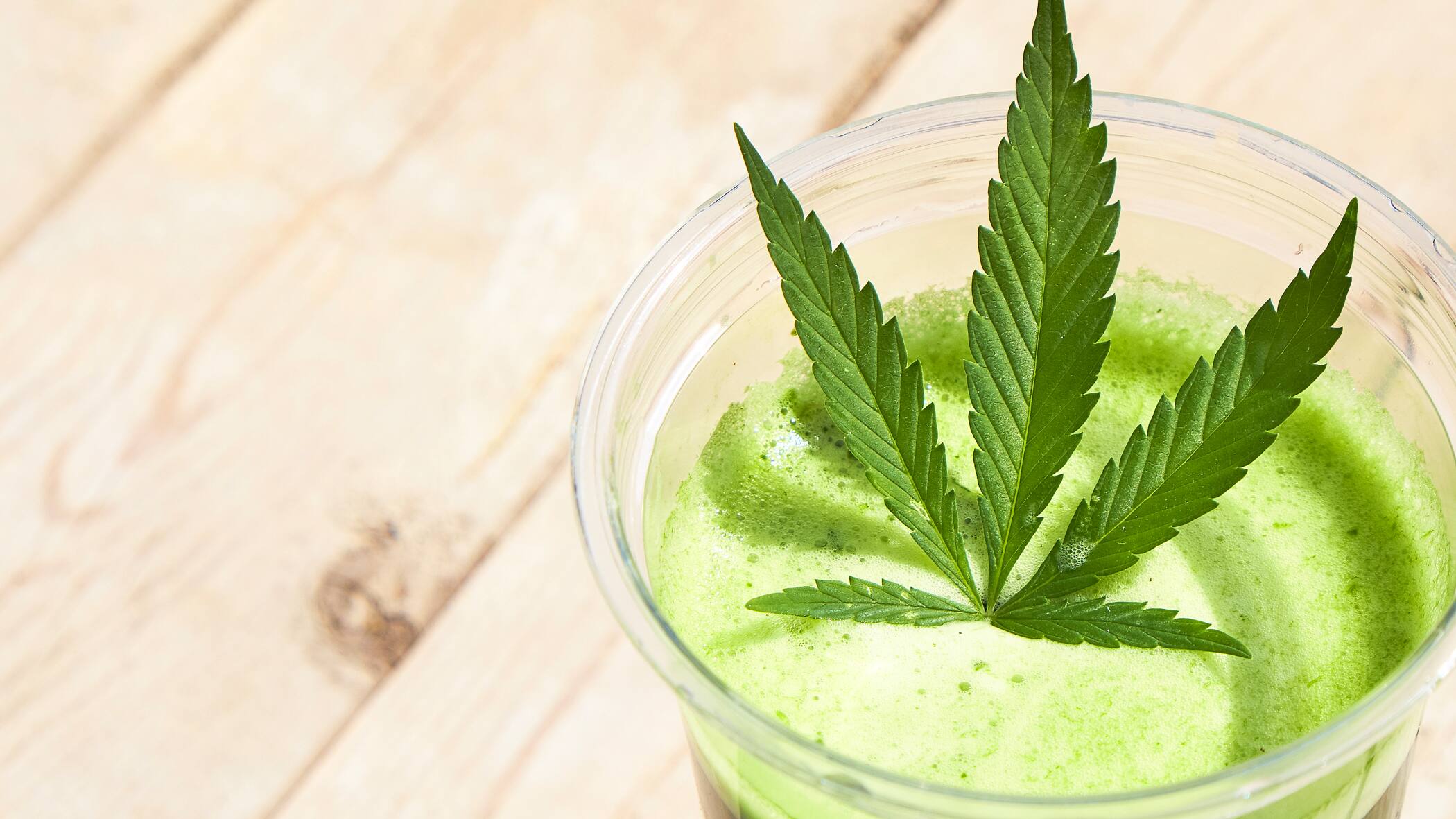 Tout sur le chanvre | Le Journal de Montréal