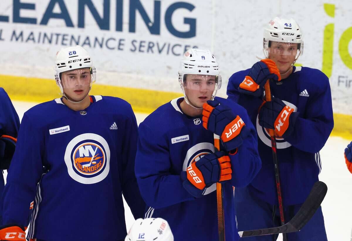 Islanders: Romanov fait sensation dans le vestiaire | JDM