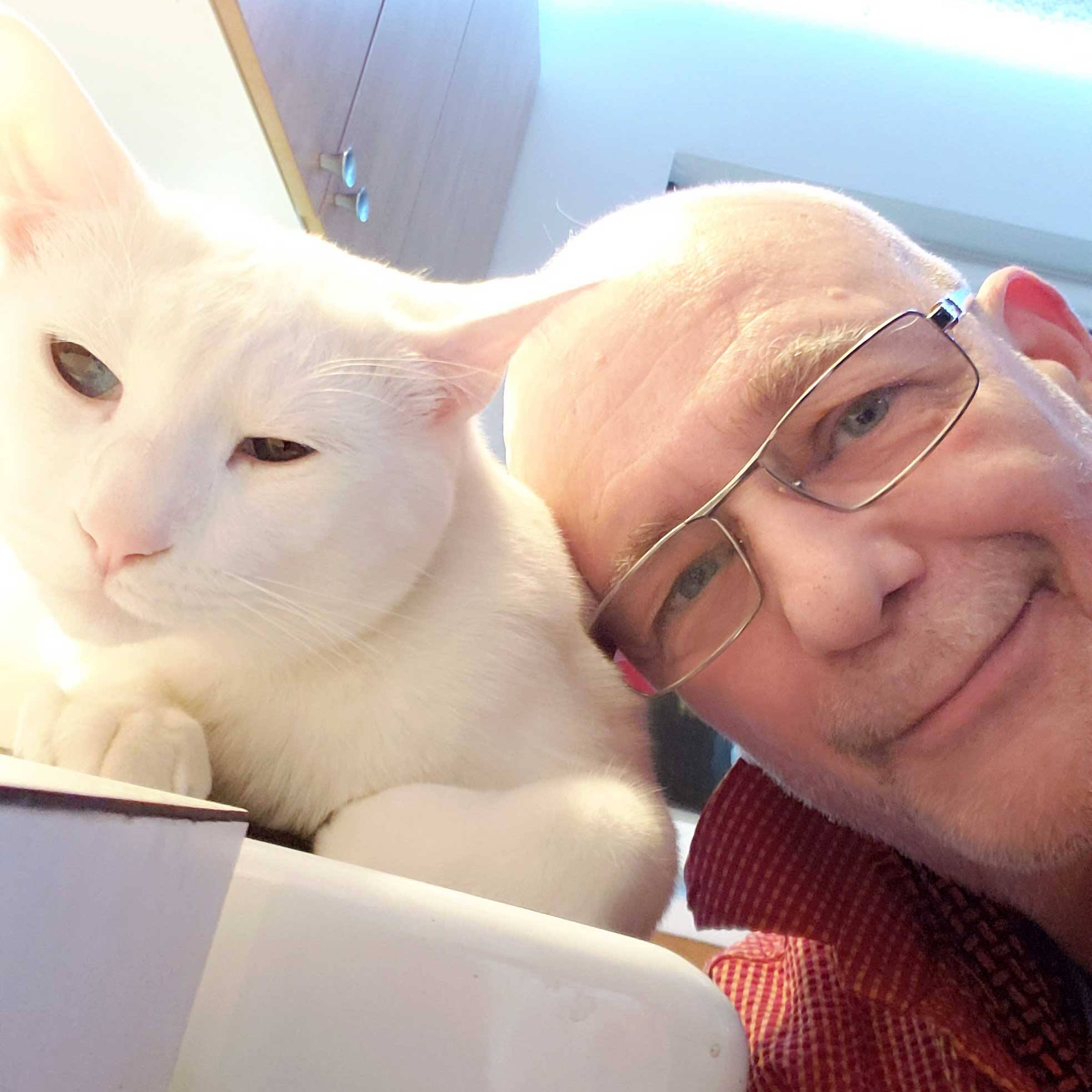 Le siamois super de Claude Rajotte | Le Journal de Montréal