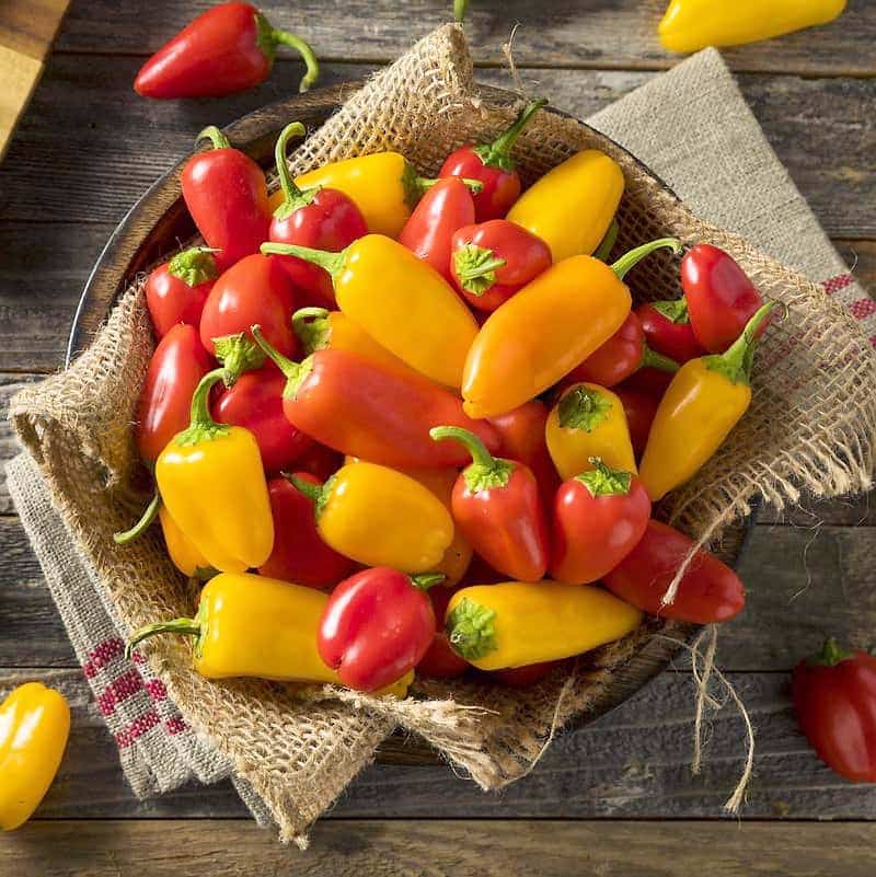 C’est le temps de faire vos semis de poivrons! | JDM