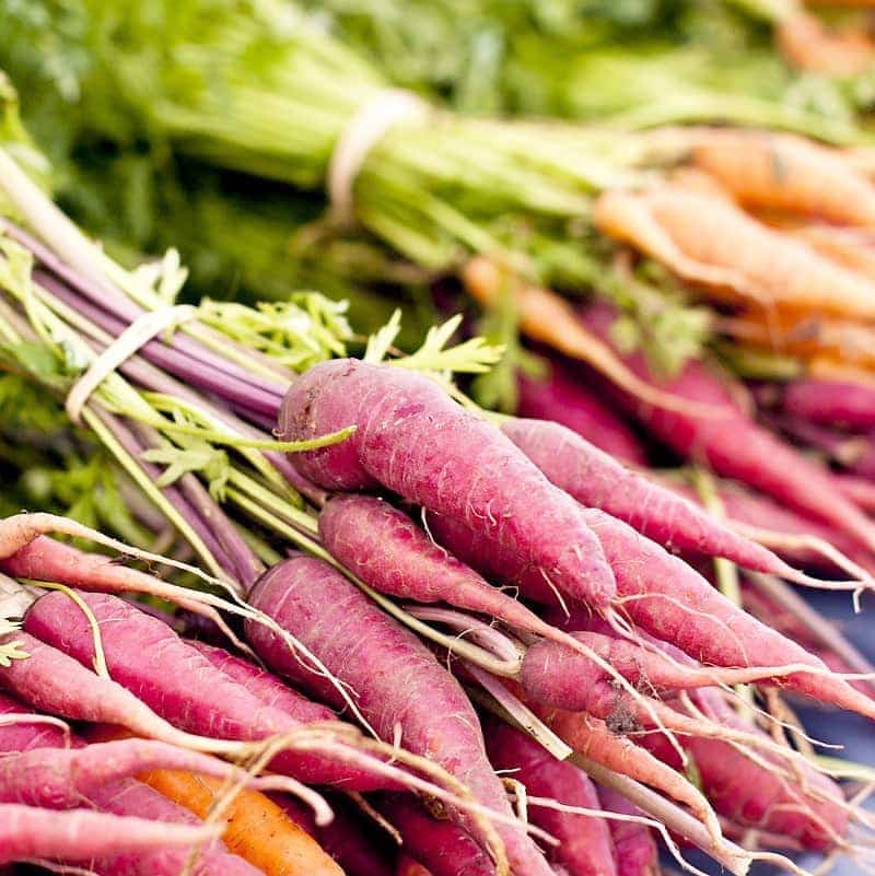 Des carottes de toutes les couleurs! | JDM