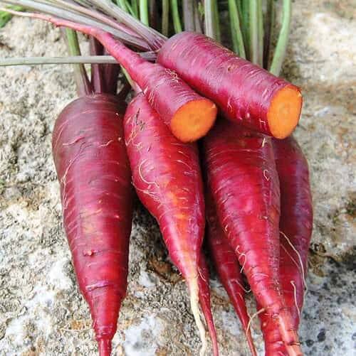 Des carottes de toutes les couleurs! | JDQ