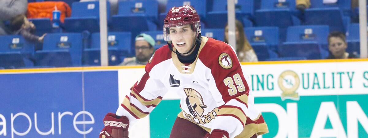 Séries éliminatoires: un saut dans le vide pour la LHJMQ | JDM