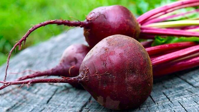 La betterave! | Le Journal de Montréal