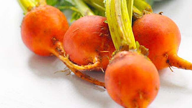 La betterave! | Le Journal de Montréal