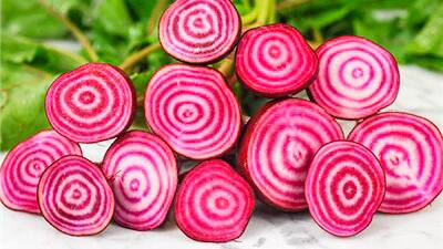 La betterave! | Le Journal de Montréal