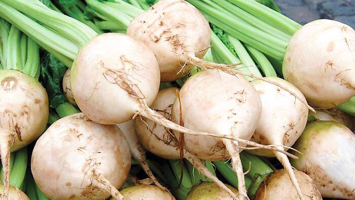 La betterave! | Le Journal de Montréal