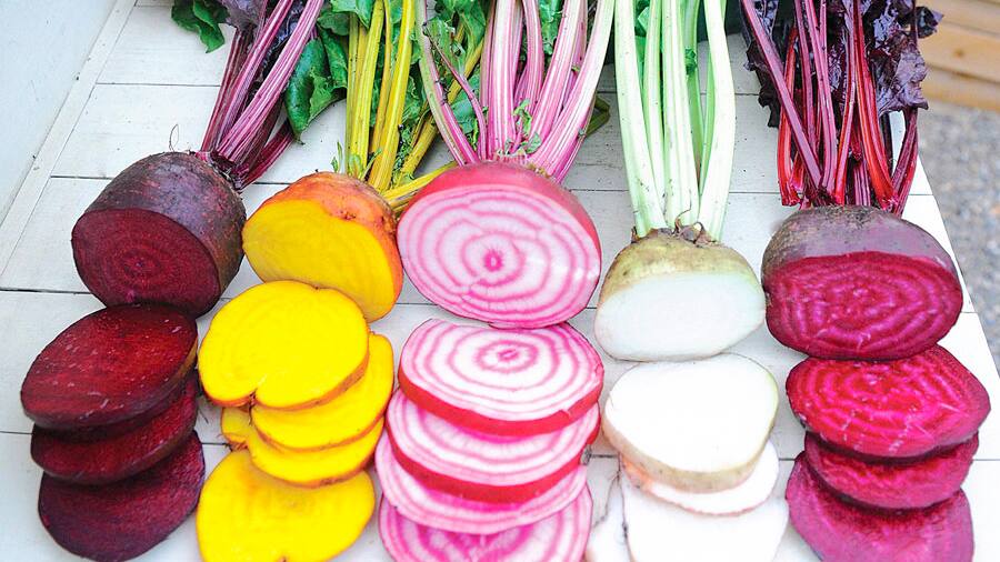 La betterave! | Le Journal de Montréal