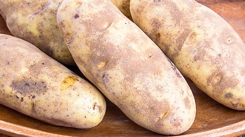 Vous êtes dans les patates! | Le Journal de Montréal