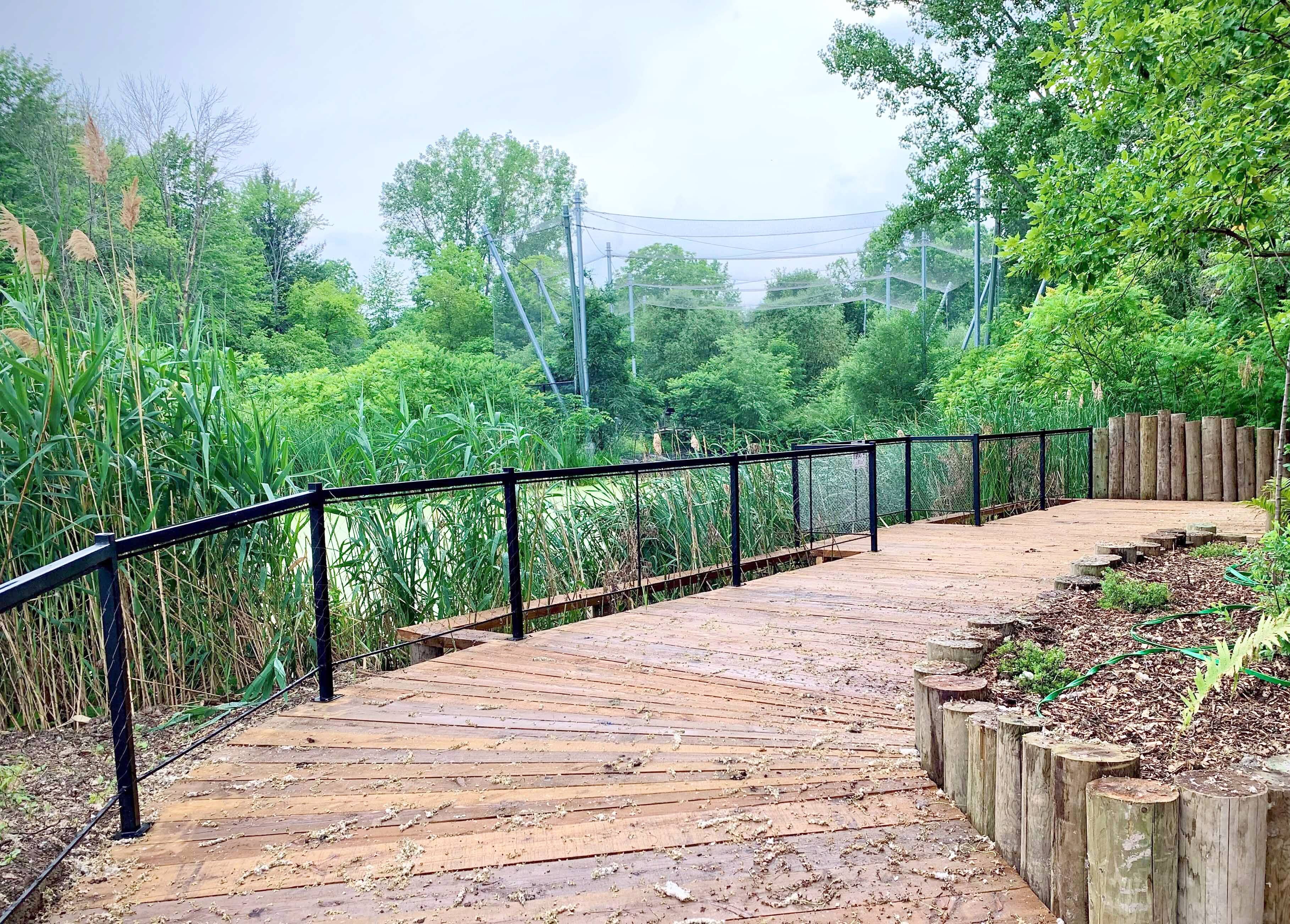 Balade au zoo Ecomuseum | Le Journal de Québec