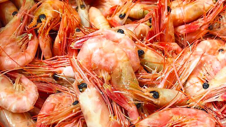 Des fruits de mer à la maison | Le Journal de Québec
