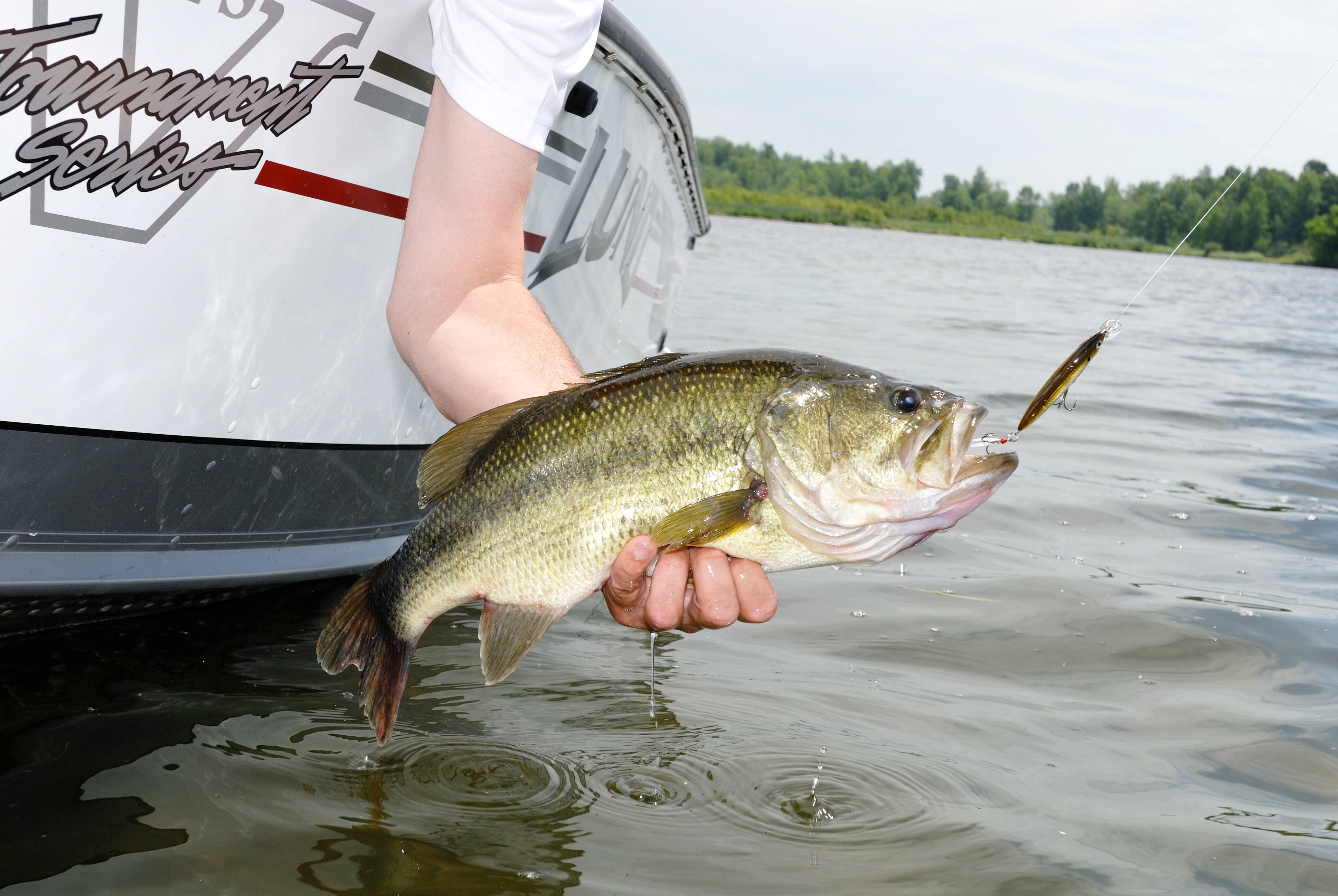 Le top 15 pour l’achigan à grande bouche | JDM