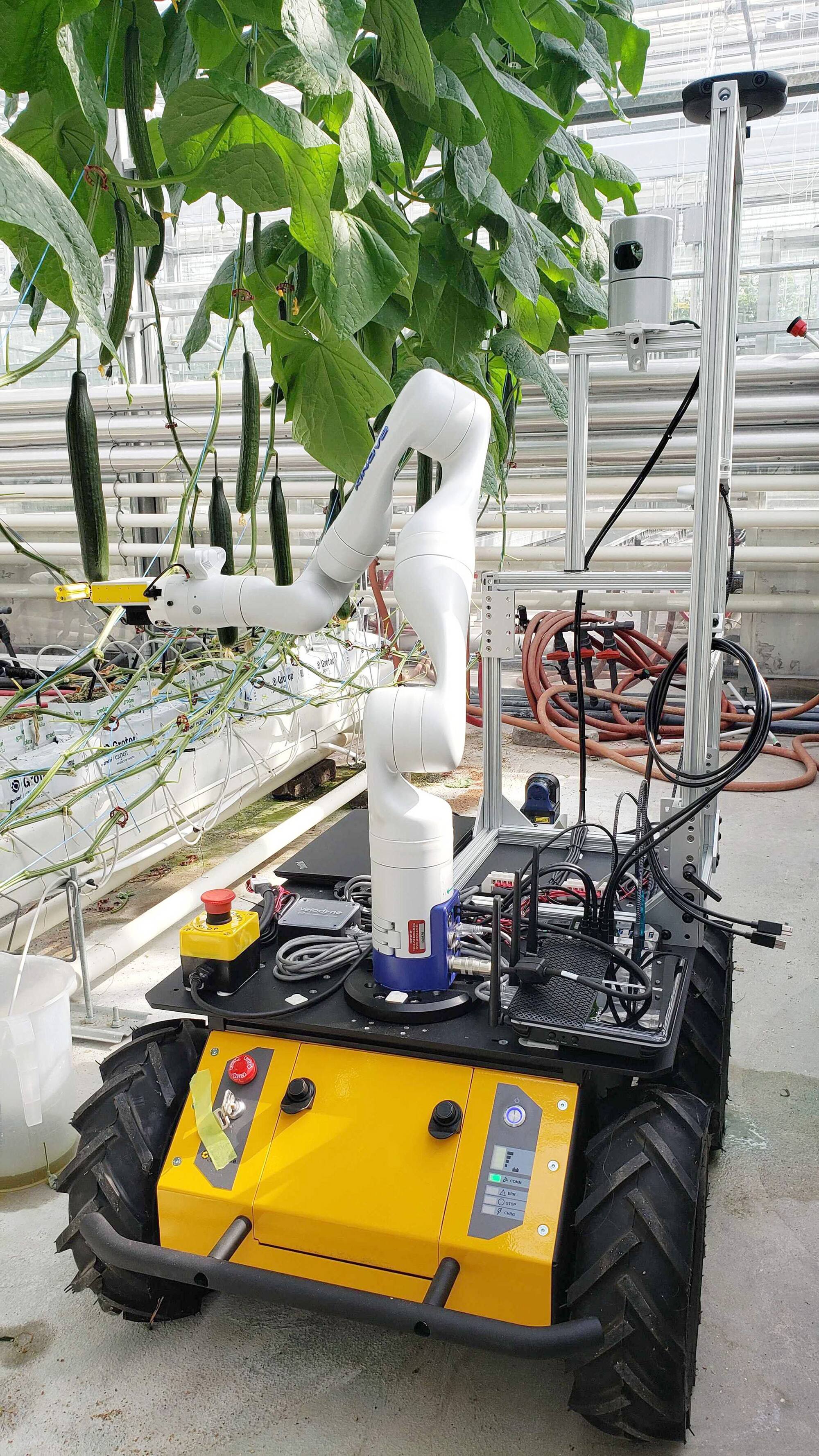 Des robots pourraient bientôt récolter des légumes de serre | JDM