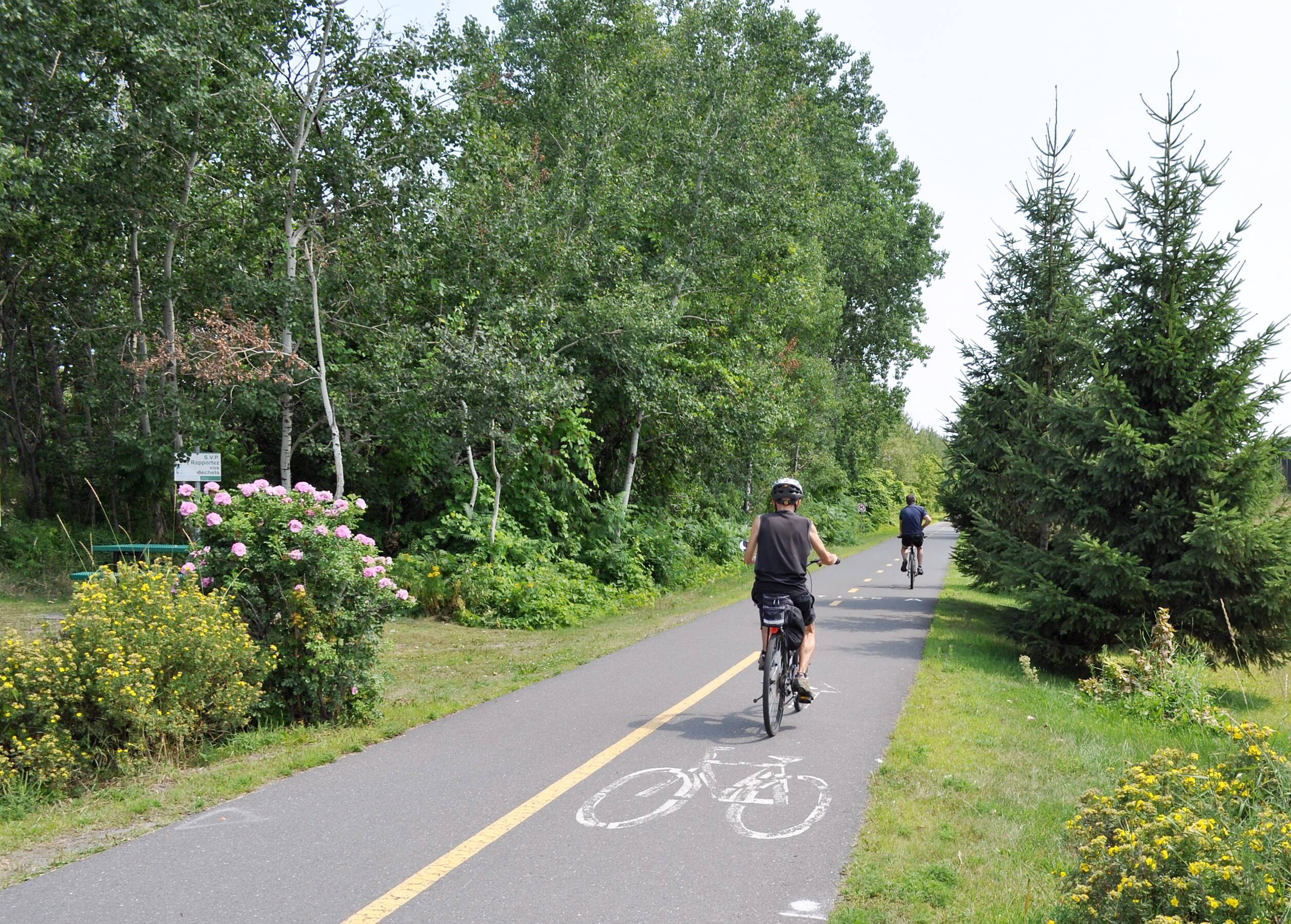 Trois pistes cyclables remarquables | Le Journal de Montréal