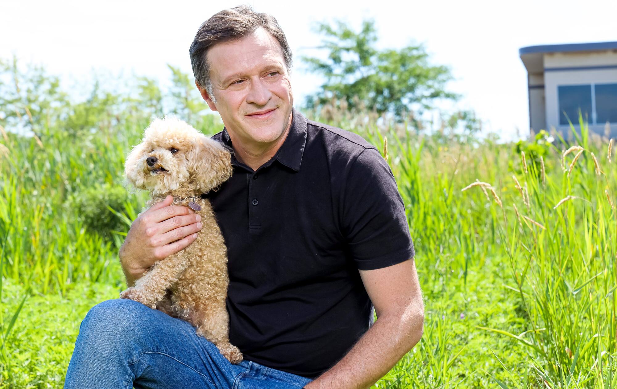 Télé: les animaux et leur pouvoir rassembleur | JDQ