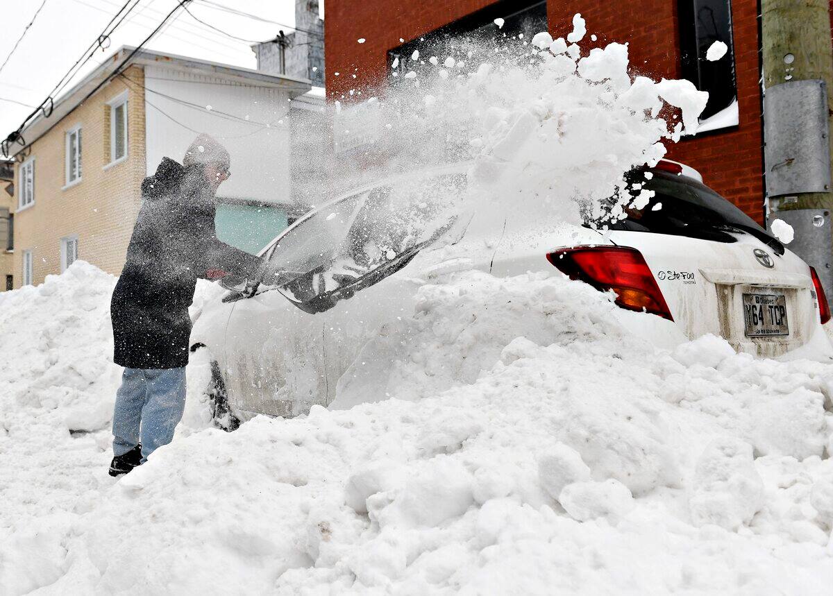 Tempête de neige: le pire est passé à Québec | TVA Nouvelles