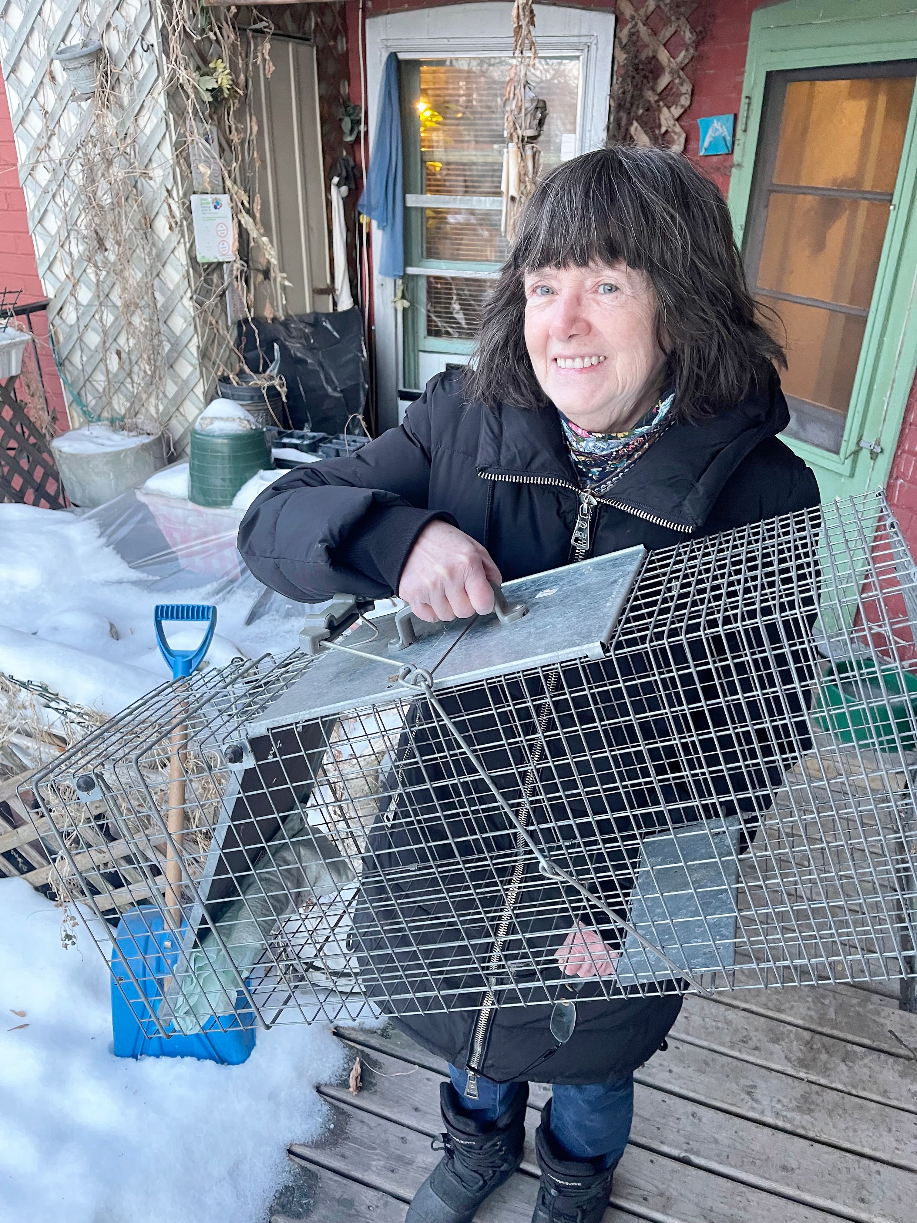 Les réchauffeurs de chats | Le Journal de Montréal