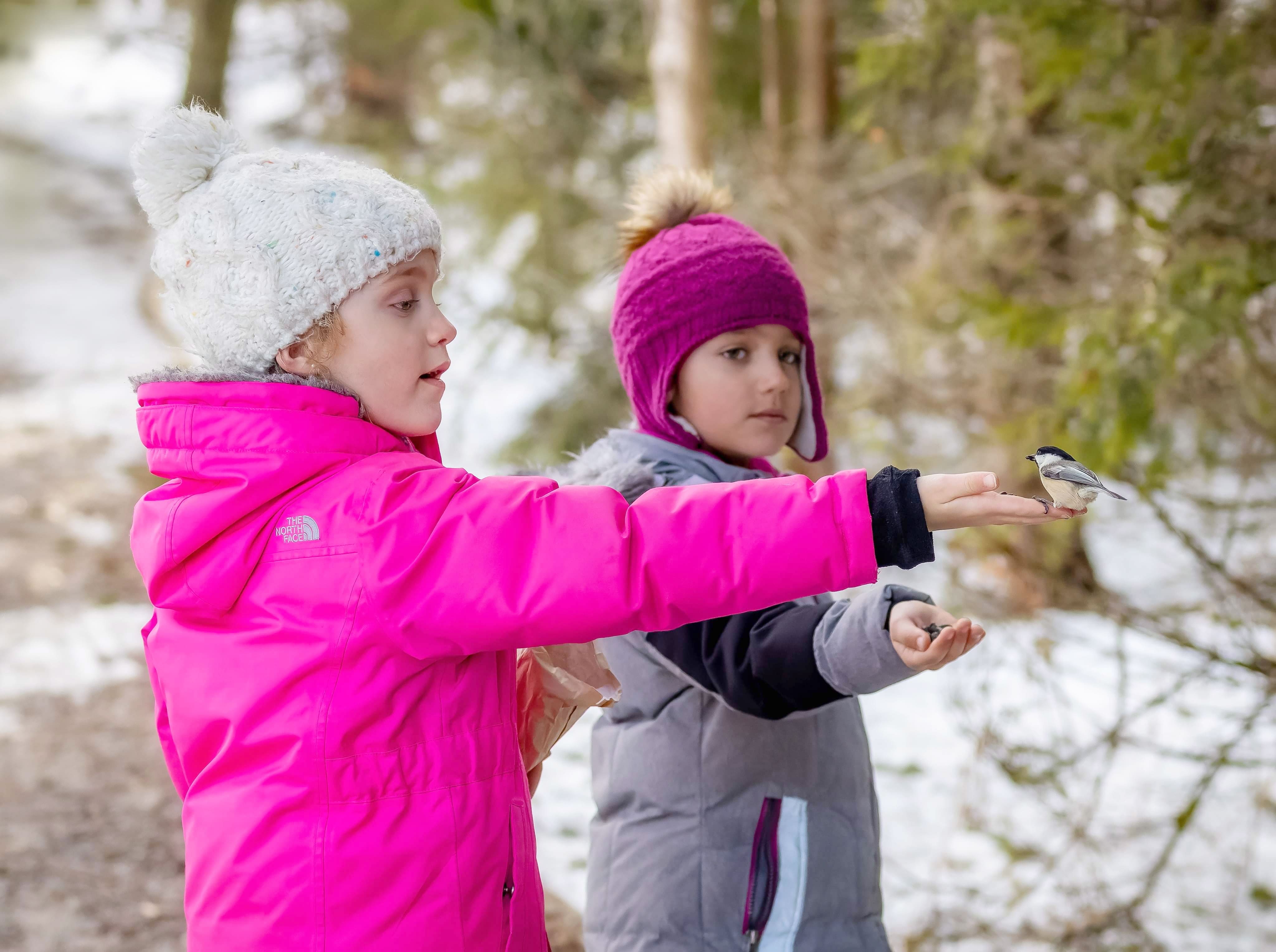 3 sorties amusantes en famille | Le Journal de Montréal