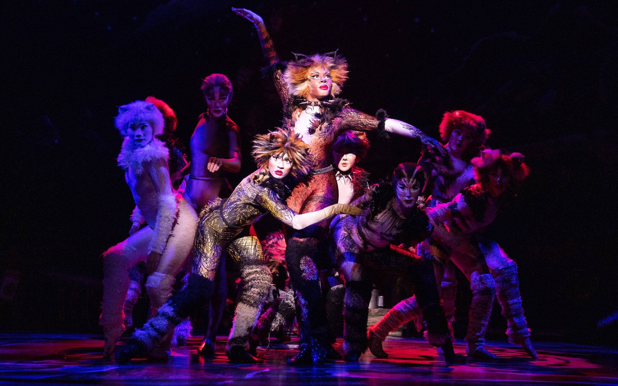 Cats: une comédie musicale magistrale | JDM