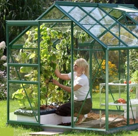 Un potager sous serre ça vous tente? | JDM