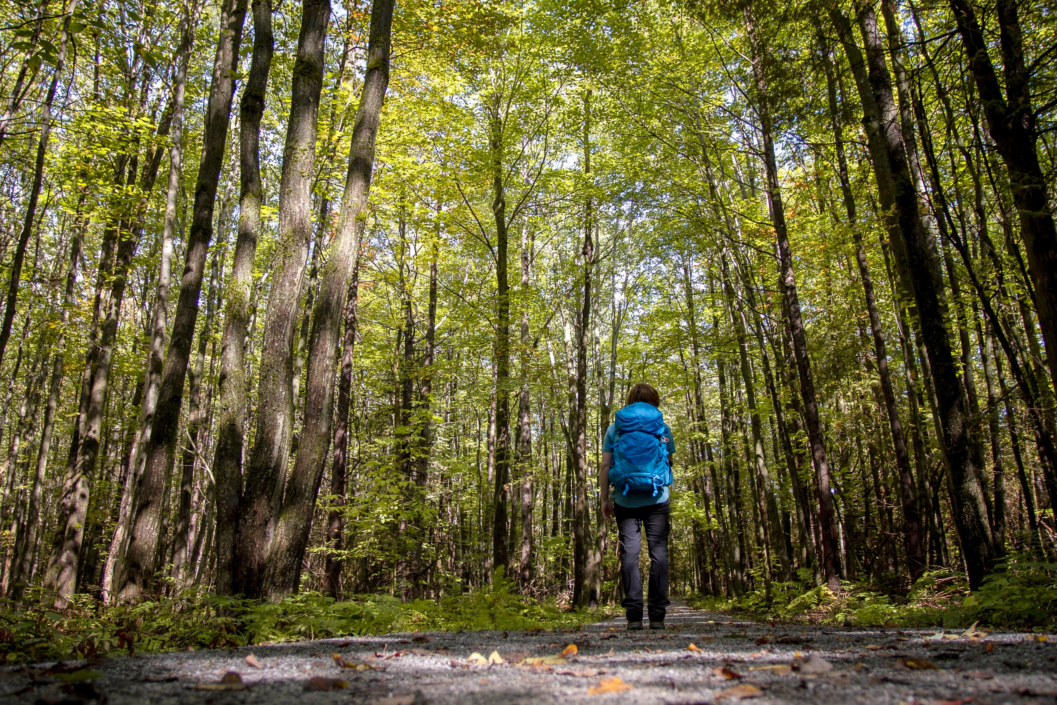 L’improbable parc national de la Yamaska | JDM