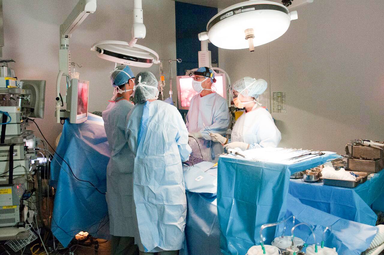 Cancer: mieux connaître la maladie pour faire avancer la recherche | JDQ