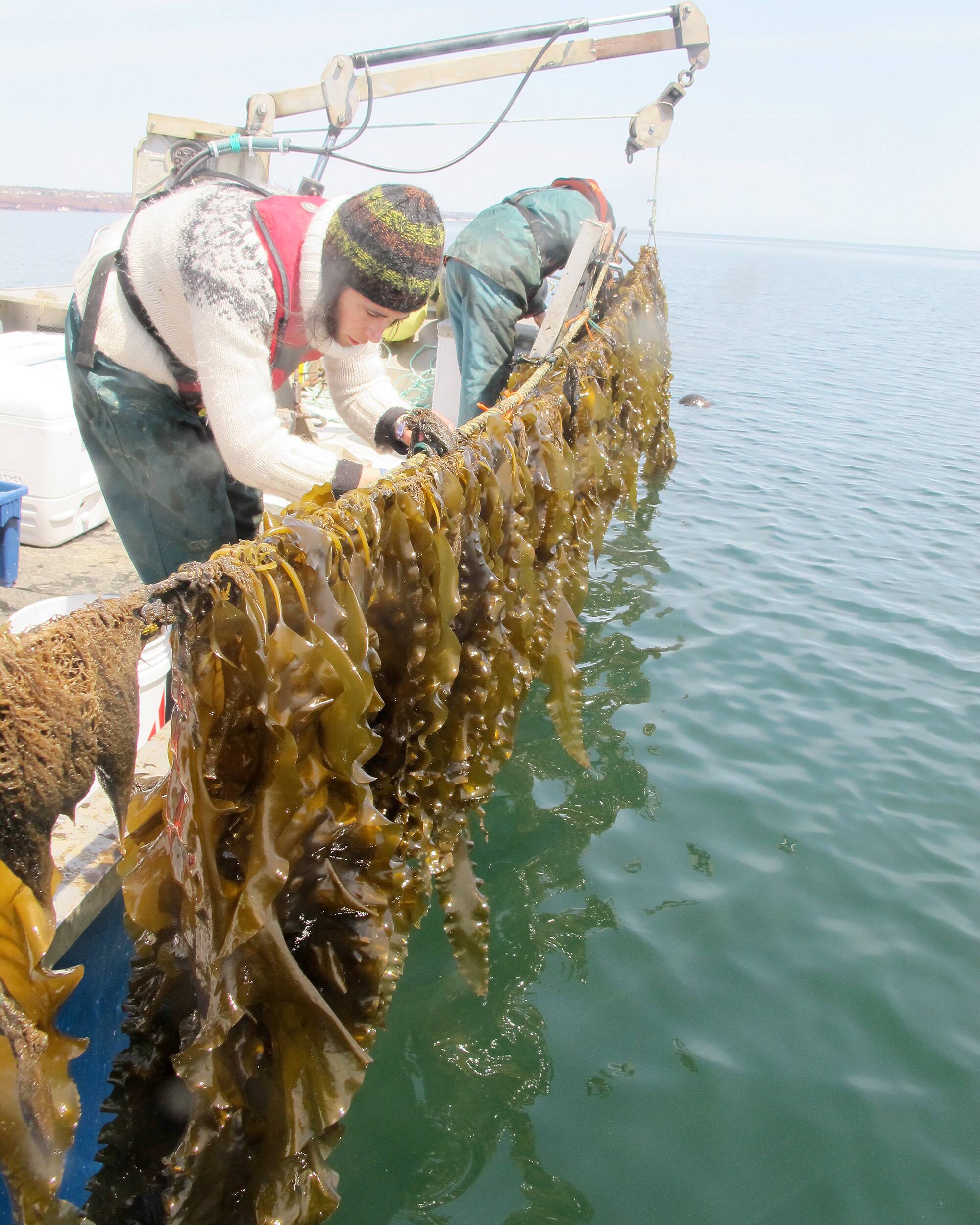 Alimentation, énergie, industrie cosmétique: Québec a le vent dans les ...