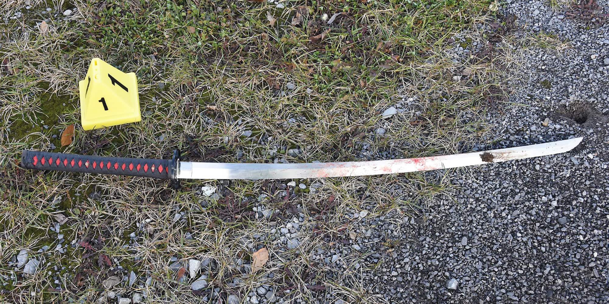 Le dossier de l'attaque au sabre dans le Vieux-Québec devant la Cour ...