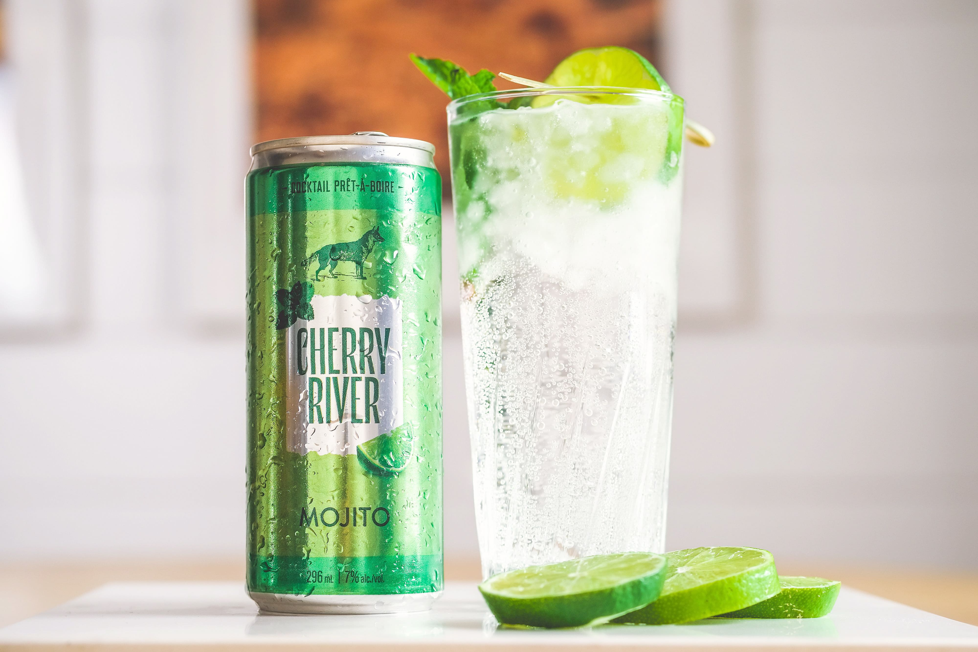 Boissons en canettes parfaites pour la glacière | JDQ