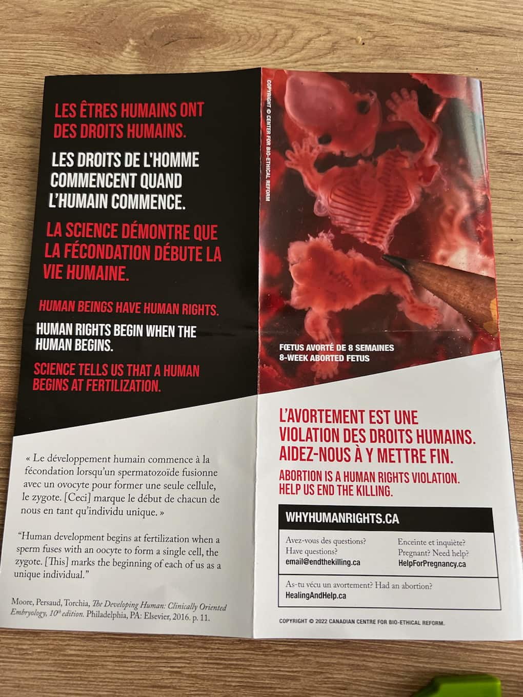 Roe c. Wade fait des petits jusqu'au Québec | JDM