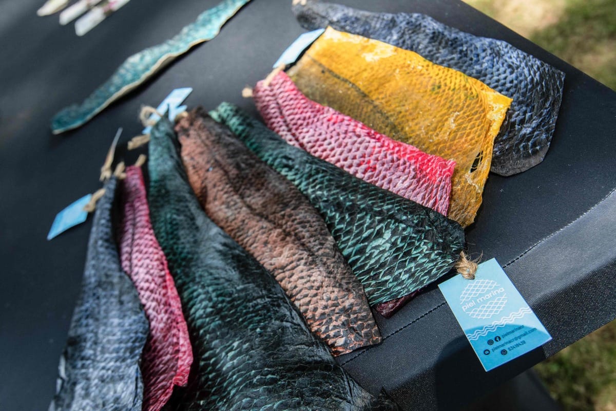 Costa Rica: des peaux de poissons recyclées en vêtements et bijoux ...