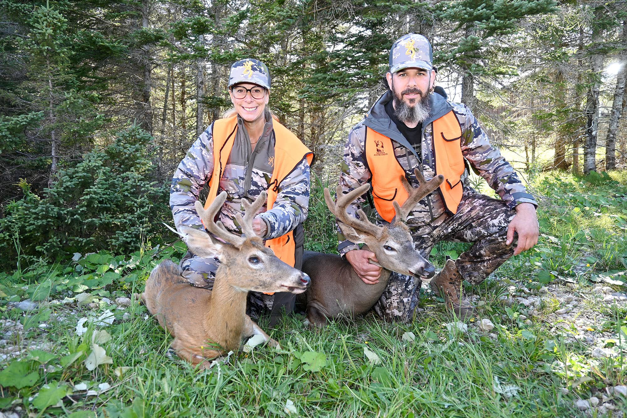 L’incontestable paradis du cerf de Virginie | JDM