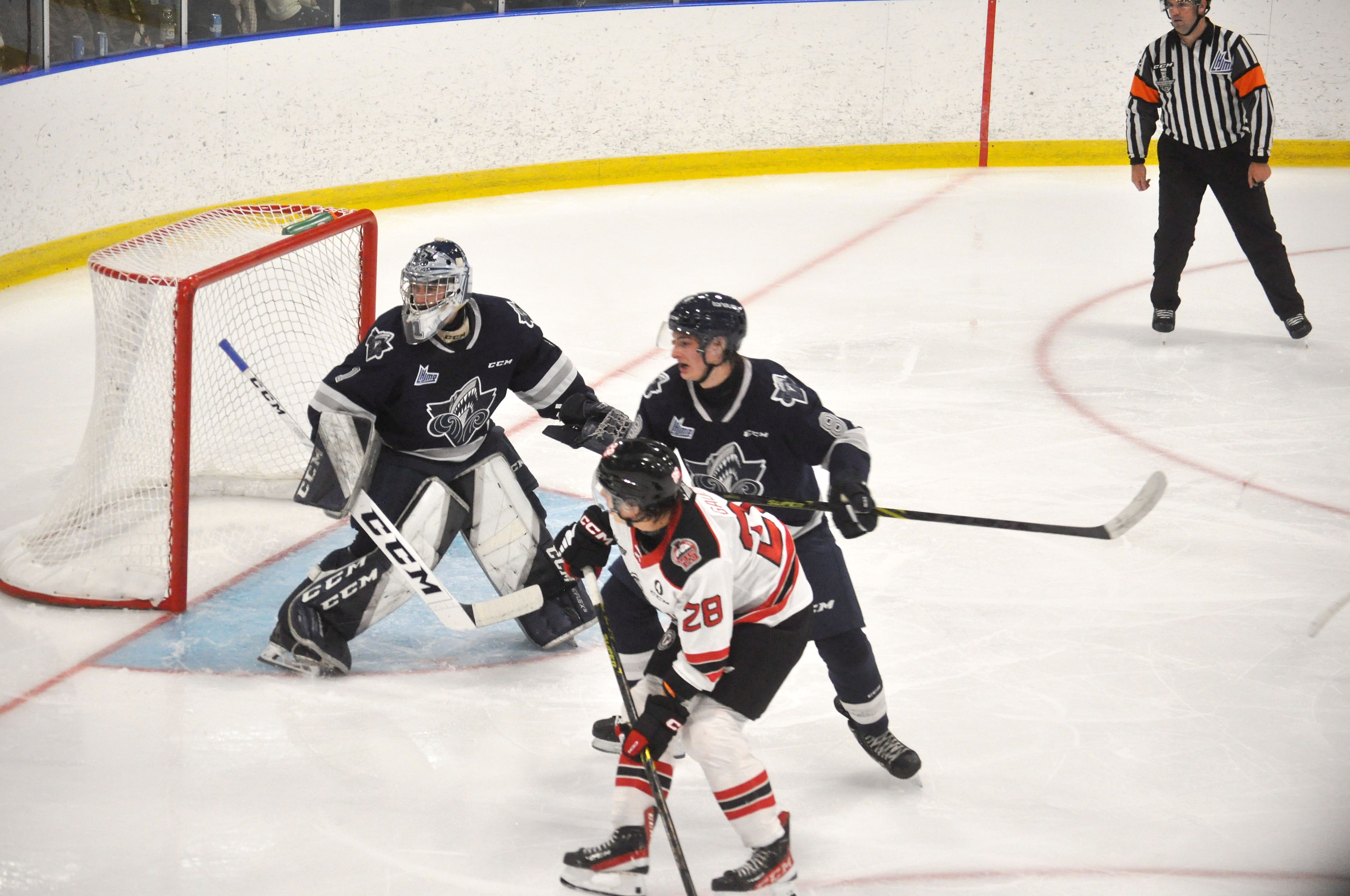 Les Remparts défaits 3-0 par l’Océanic à Matane - TVA Sports