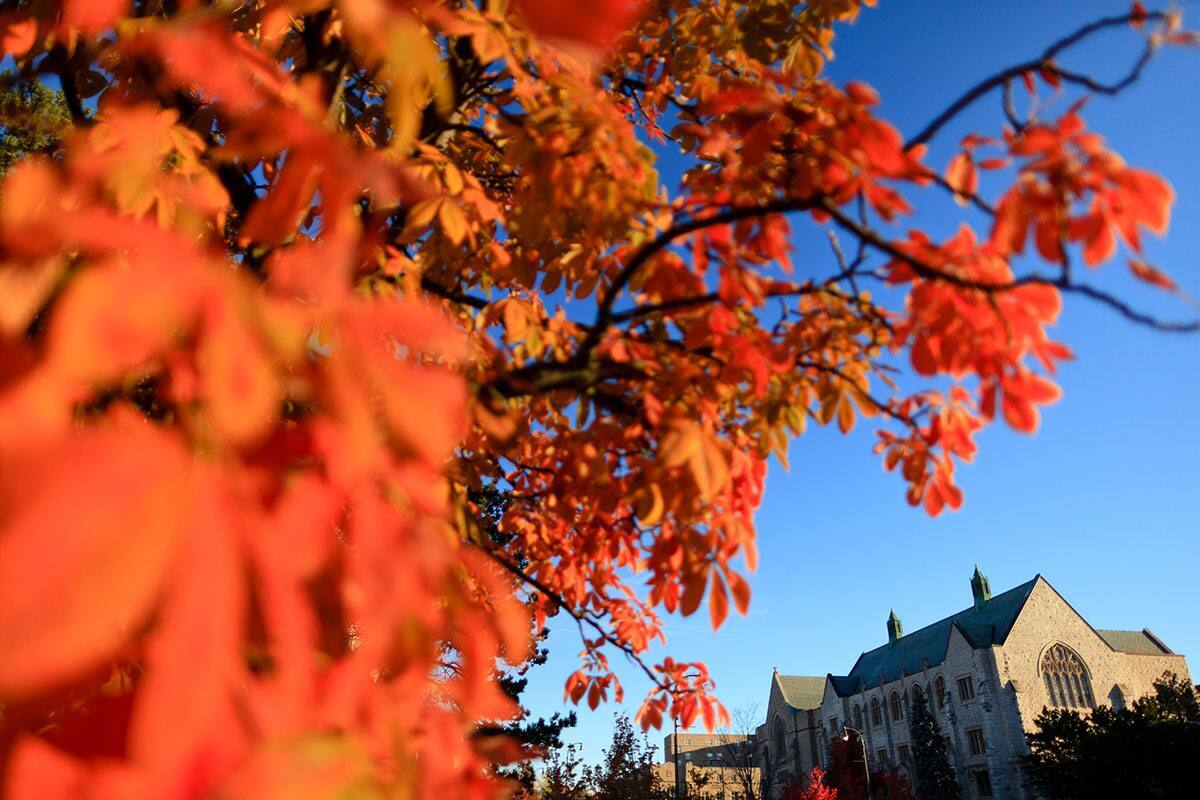7 bonnes raisons d'aller à Kingston | Le Journal de Montréal