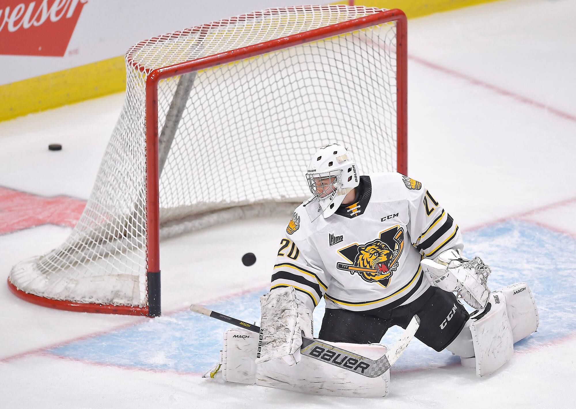 Gabriel D’Aigle, le prochain surdoué québécois? | JDM