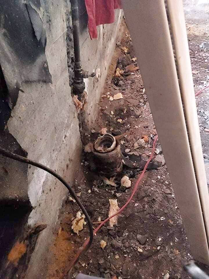 Infestations de rats et souris en forte croissance à Québec | JDM