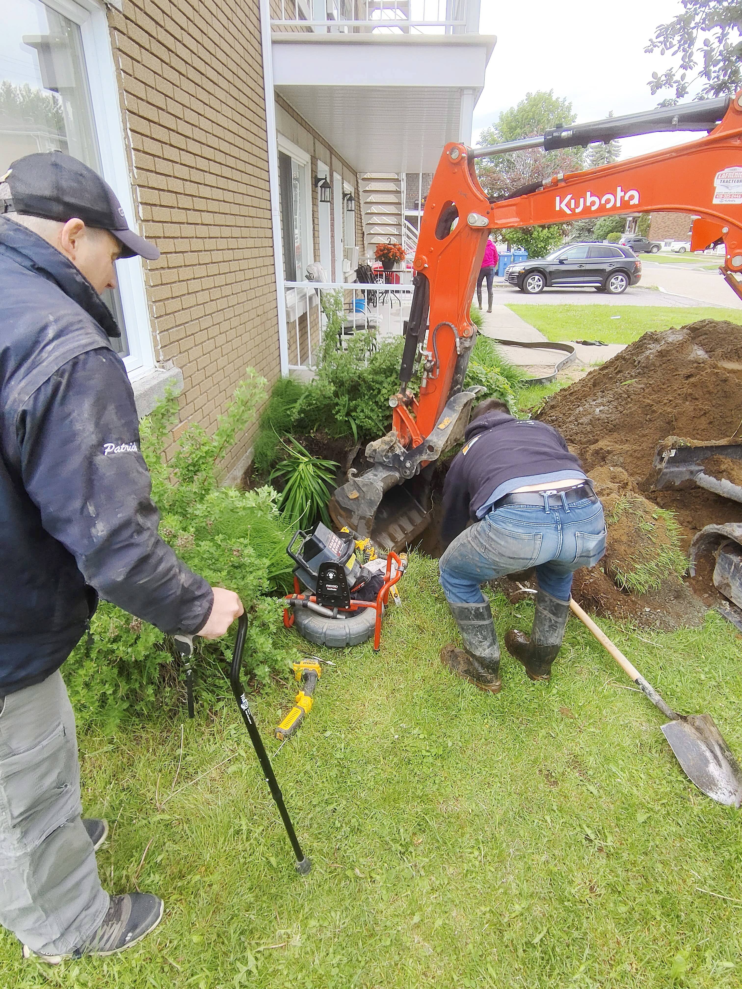 Infestations de rats et souris en forte croissance à Québec | JDM