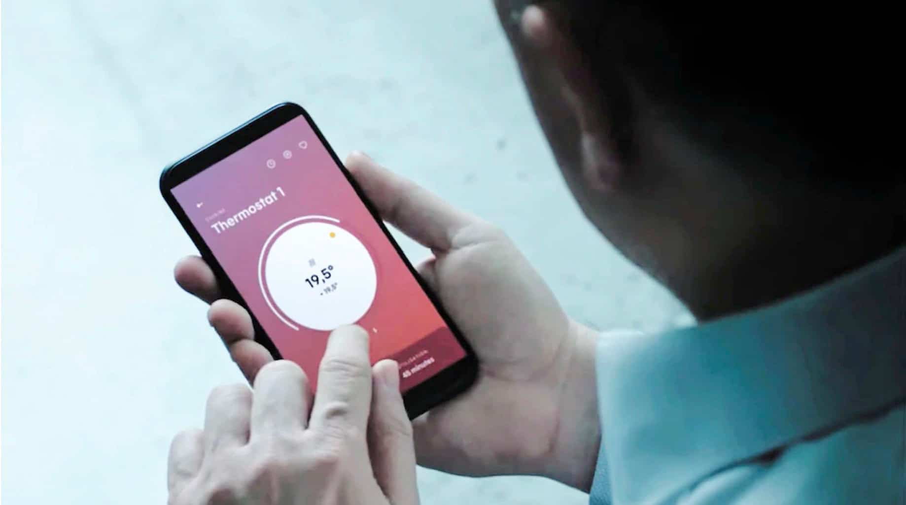 La terre-neuvienne Mysa avec Hilo | Le Journal de Montréal