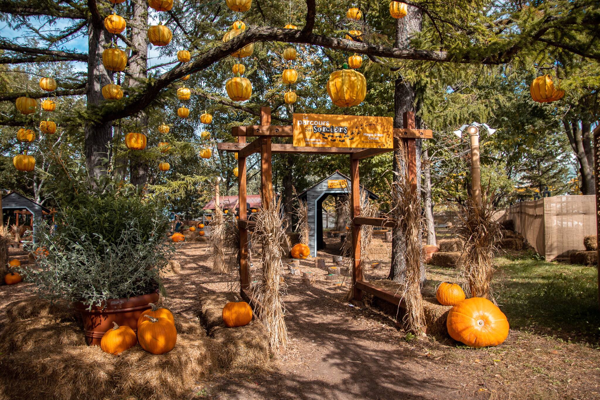 Quoi faire à Montréal: semaine du 13 au 19 octobre | JDM