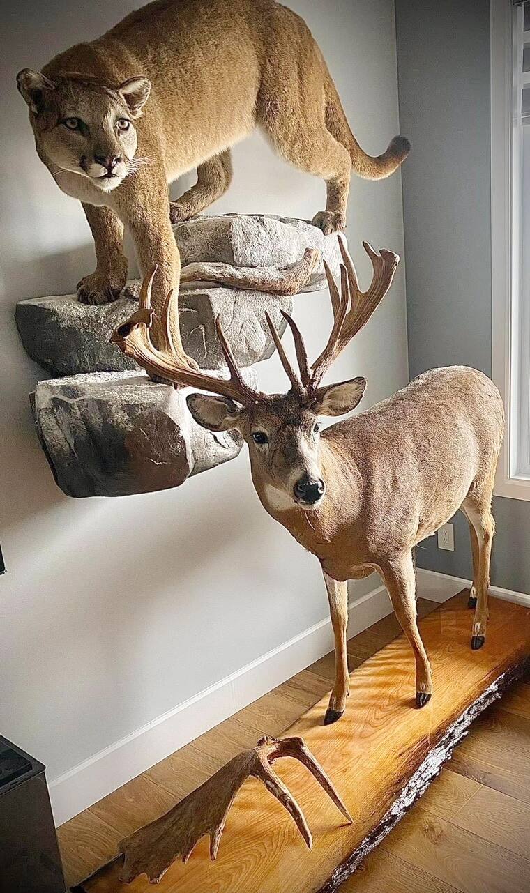 De beaux trophées | Le Journal de Montréal