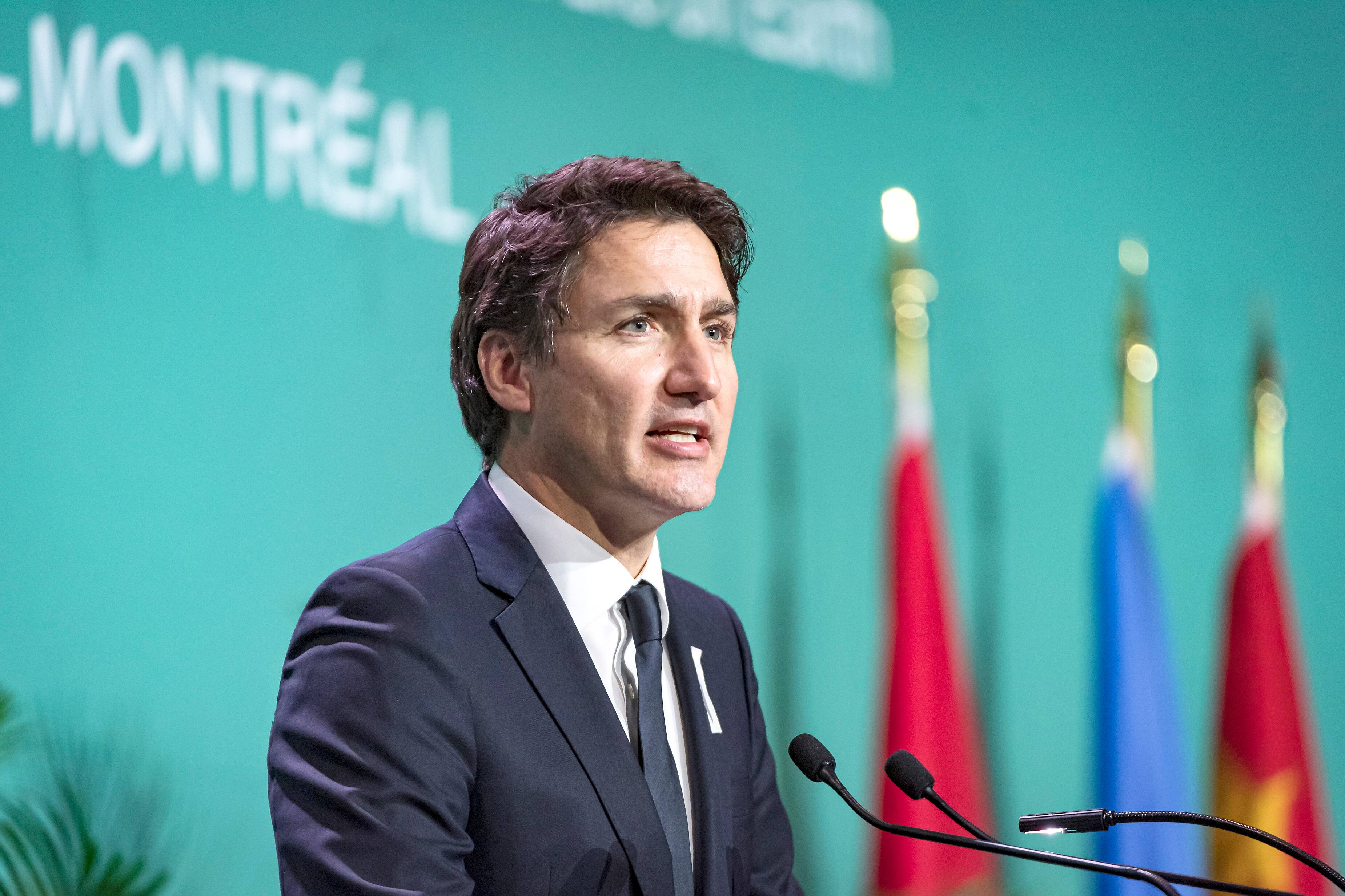 Les 112 000 immigrants de Trudeau: du délire! | JDM